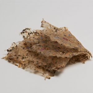 MartinBauer - MartinBauer