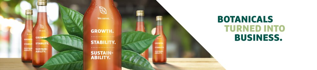 Startseite - MartinBauer