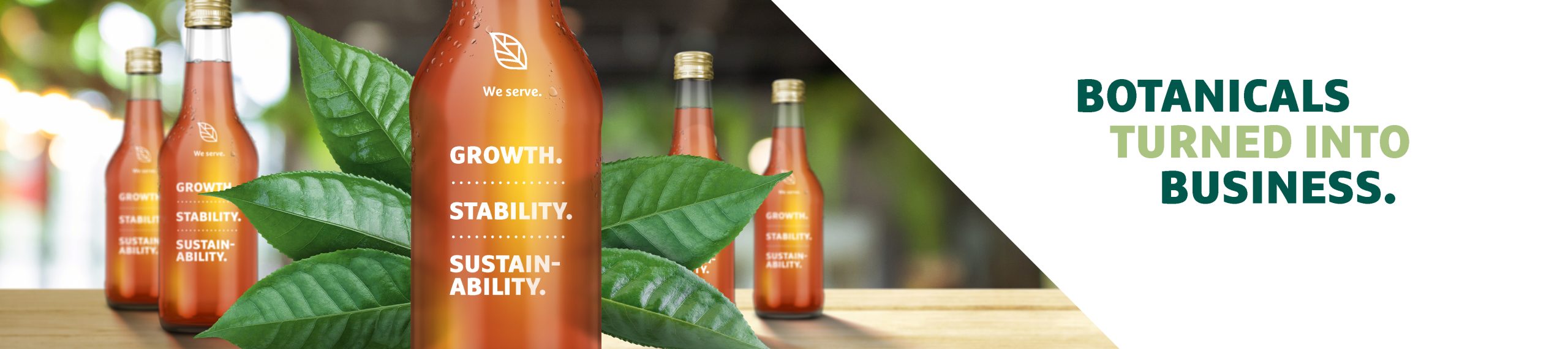 Startseite - MartinBauer