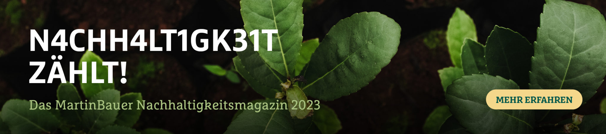 Startseite - MartinBauer